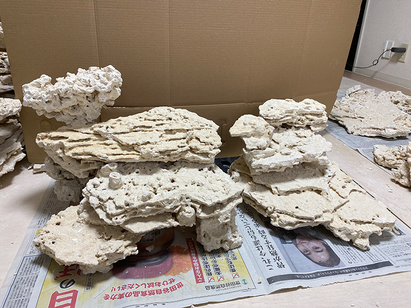 Marco Rocks Layout 009｜サンゴ通販なら大阪の専門店 Coralmonster-コーラルモンスター-